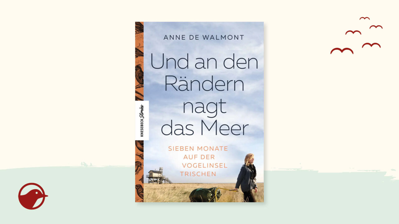 Buchtipp: "Und an den Rändern nagt das Meer" von Anne de Walmont ...