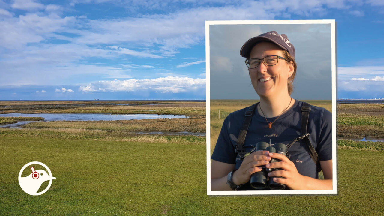 Carolin Rothfuß und die Vogelwelt von Neuwerk • Vogelguckerin